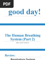 Lung Model With Two Lungs and Diaphragm Lab | PDF