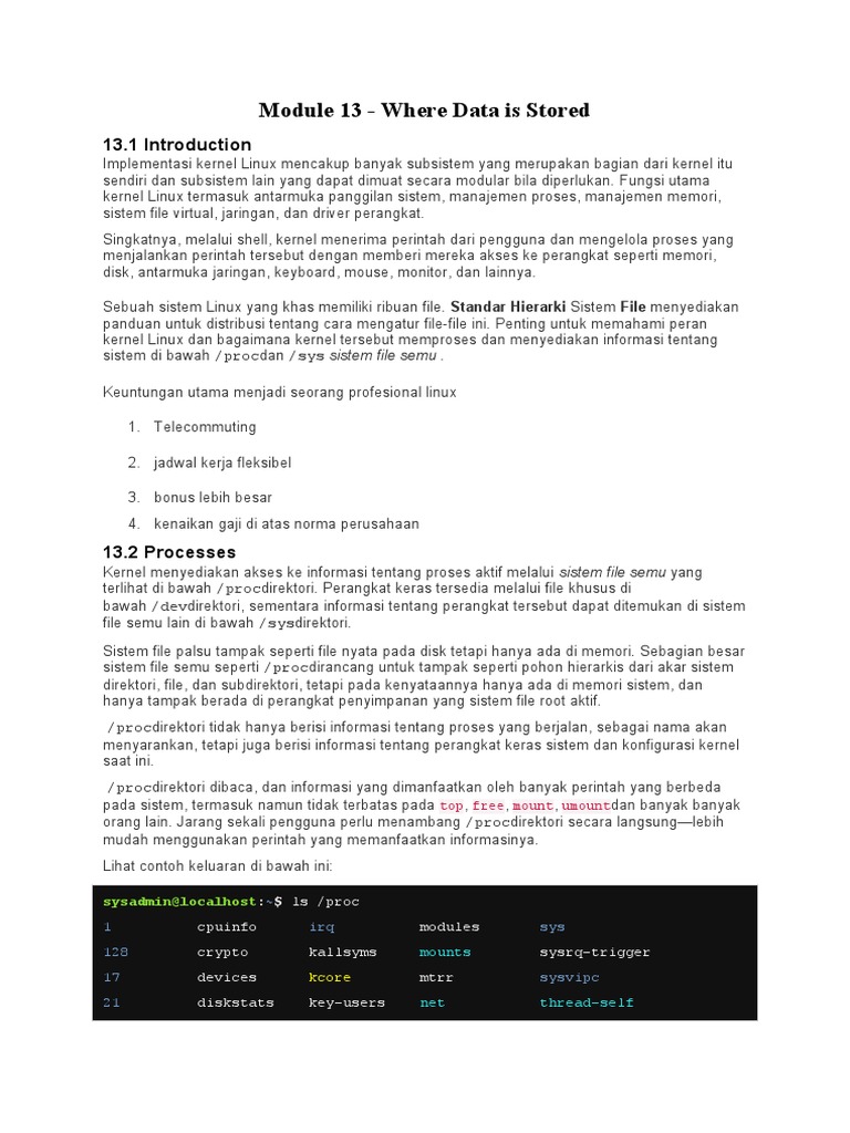 Module 13 - Where Data Is Stored | PDF | Komputer