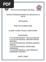 Elaboración de Ganchos Adams en Ortodoncia | PDF | Ortodoncia | Naturaleza
