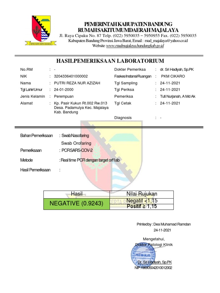 Putri Reza Nur Azizah | PDF