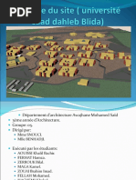 Pdau | PDF | Alger | Transport