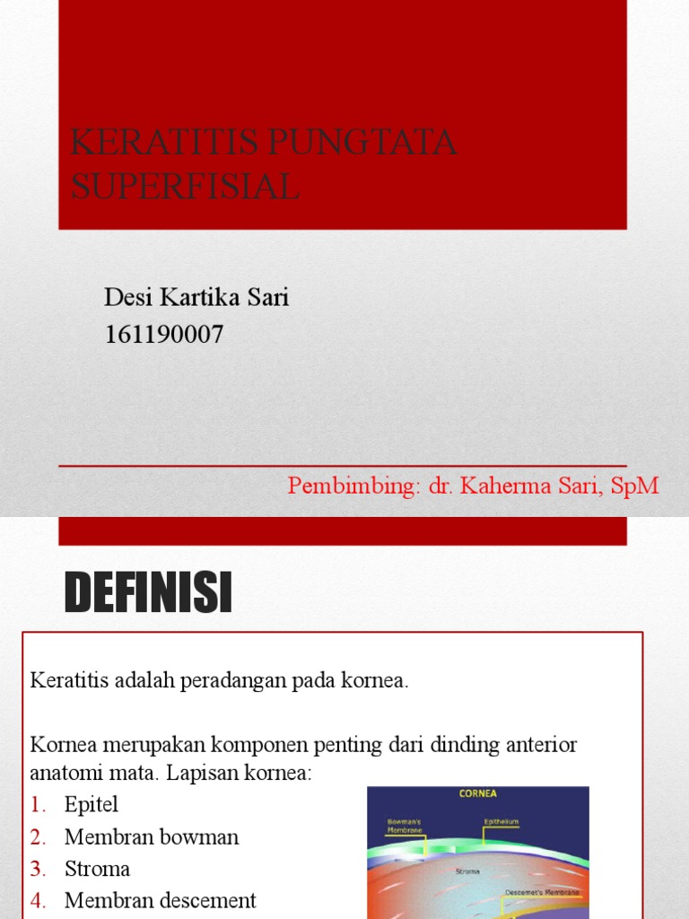 Keratitis Pungtata Superfisial: Desi Kartika Sari 161190007 | PDF