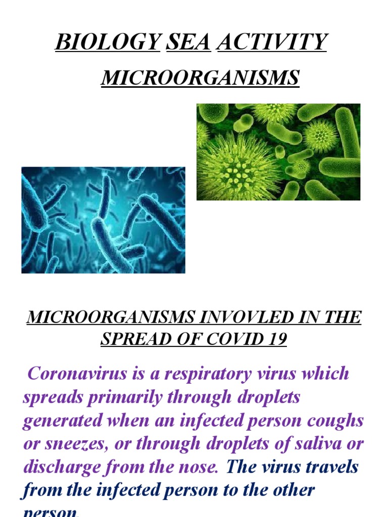 Biology Sea Activity: Microorganisms | PDF