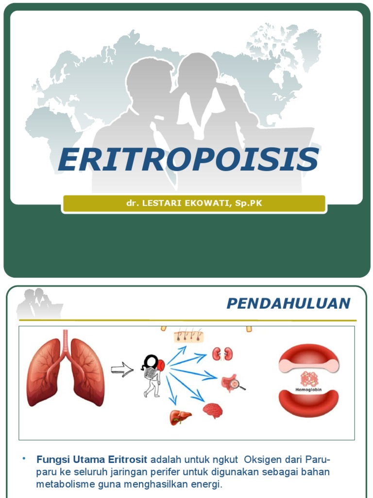 TM 1. Eritropoisis | PDF