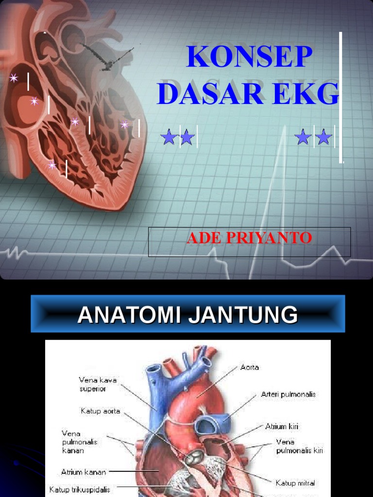 Dasar Ekg-1 | PDF