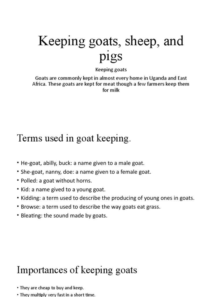 Keeping Goats, Sheep, and Pigs | PDF | Sheep | Goat