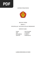 Struktur dan Fungsi Empulur Ubi Kayu | PDF