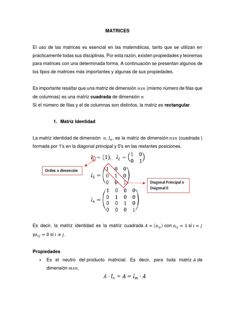 Tipo de Matrices y Propiedades | PDF | Matriz (Matemáticas) | Determinante