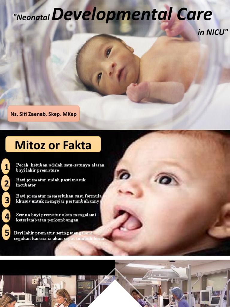 Neonatal Developmental Care in NICU | PDF