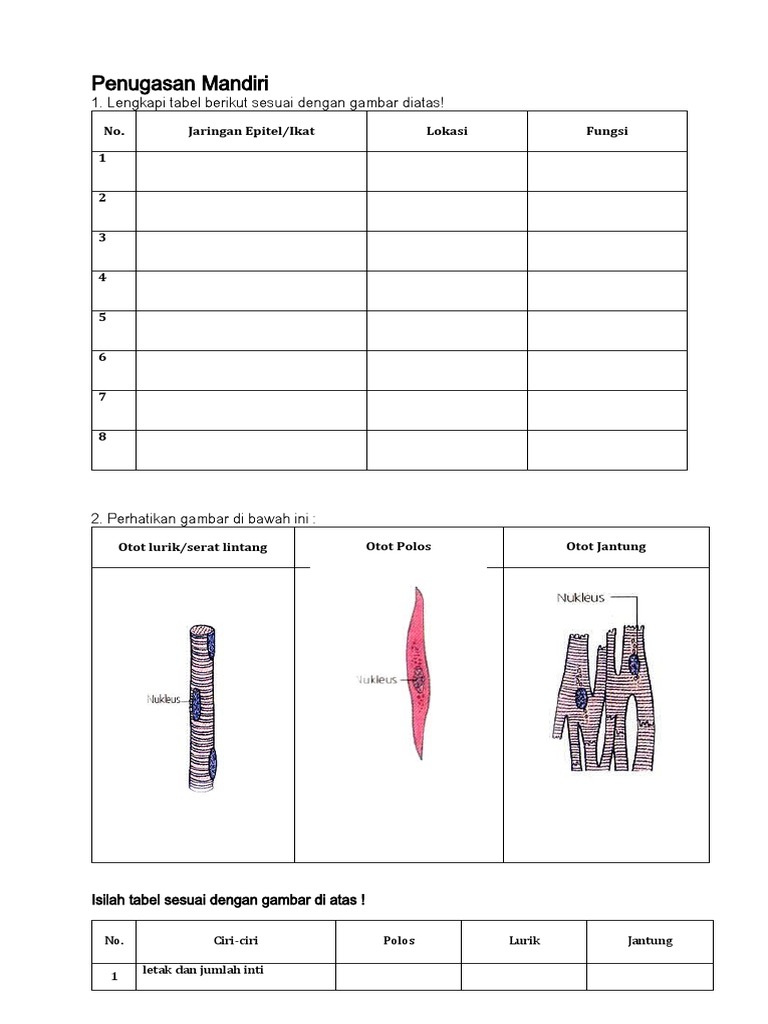 Kintil Pdf