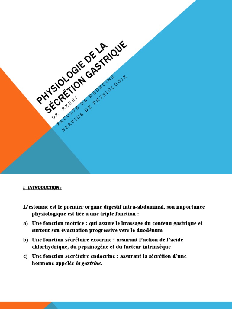 Phases de la Sécrétion Gastrique | PDF | Estomac | Anatomie