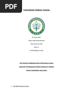 Gambar Alat Reproduksi Sapi Betina | PDF