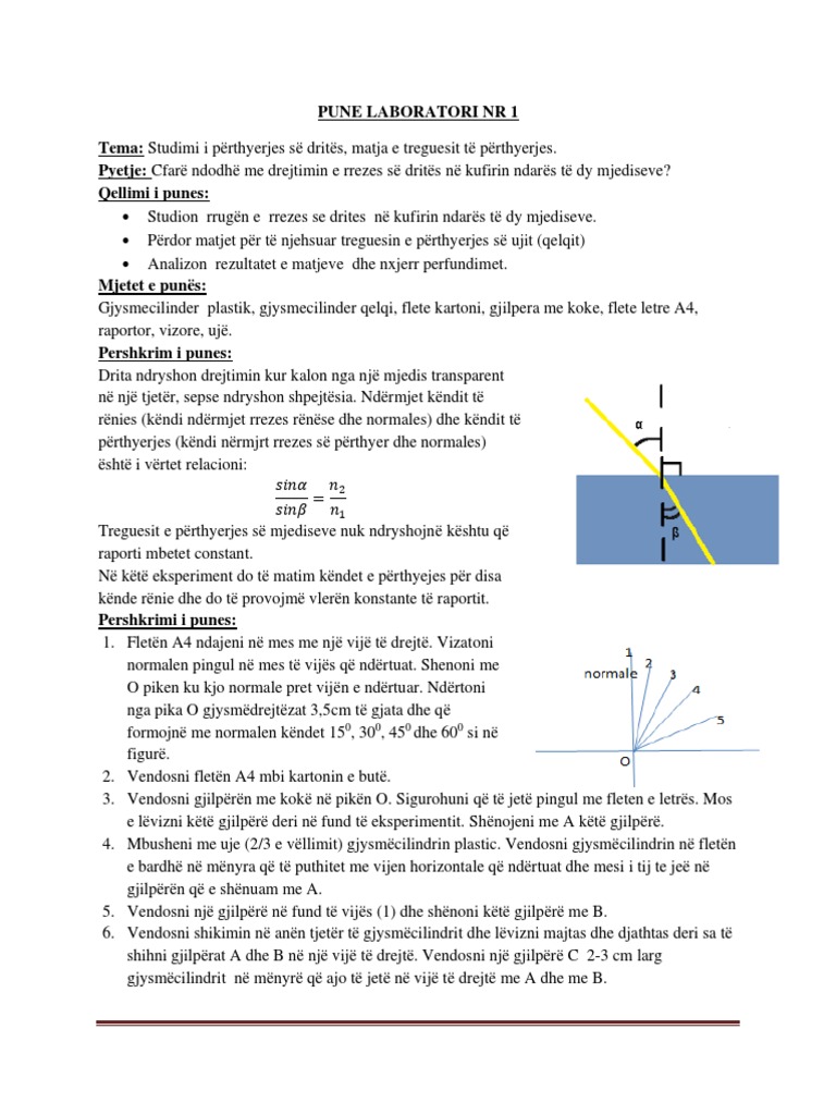 P.L Perthyerja e Dritese | PDF