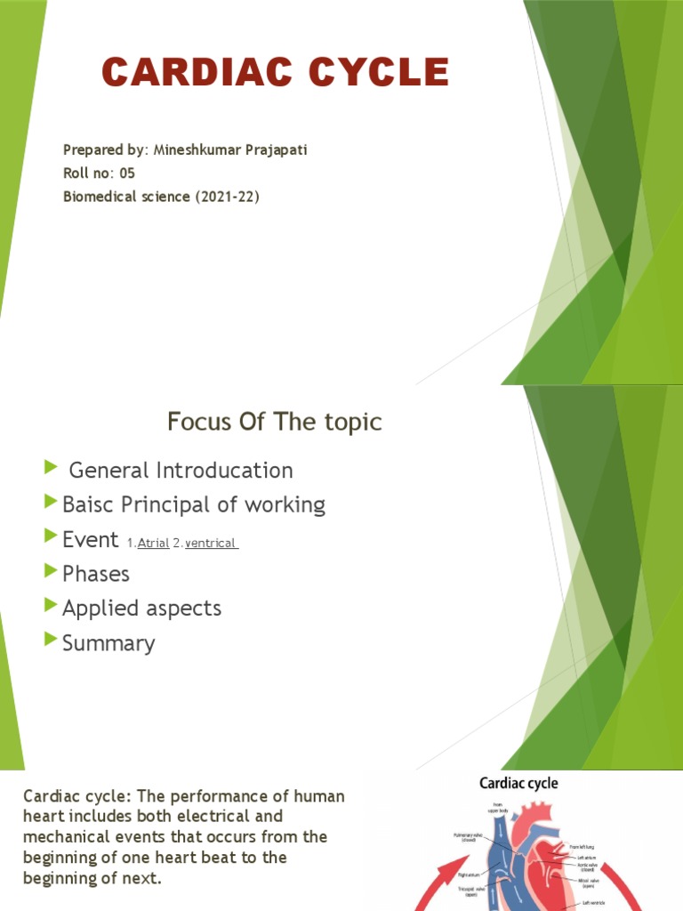 Cardiac Cycle | PDF | Diastole | Atrium (Heart)