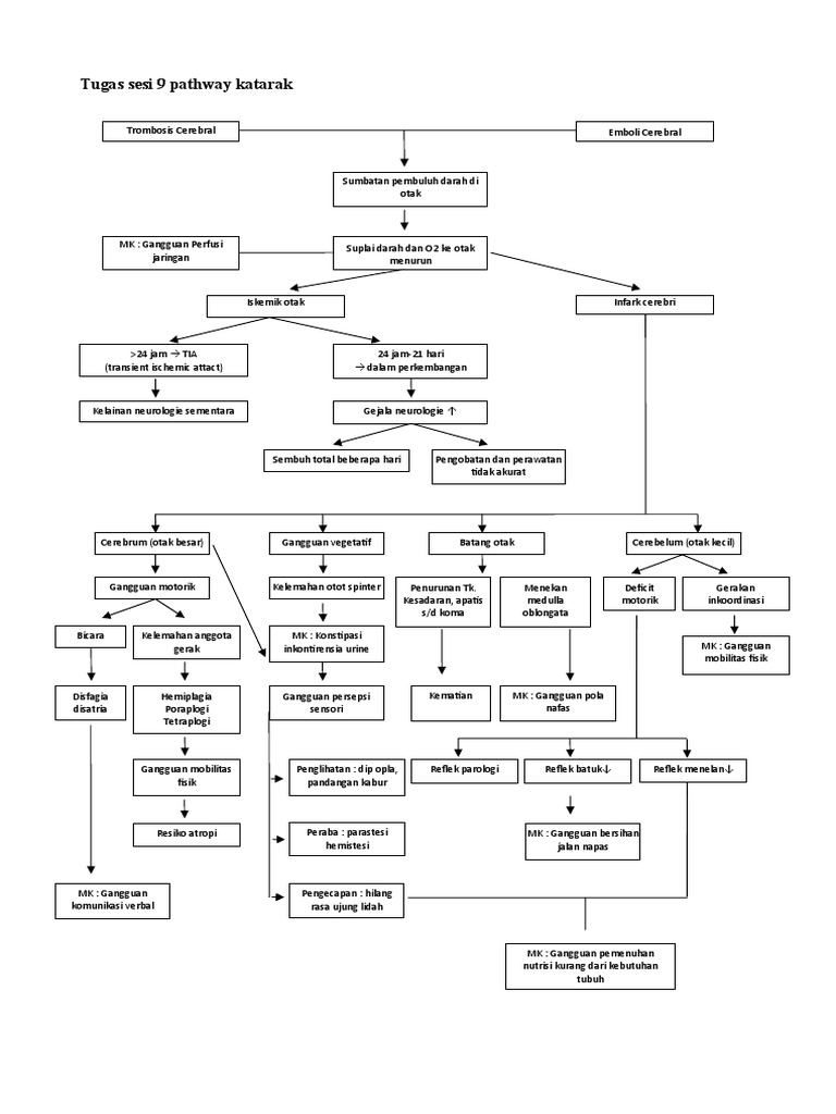 Pathway Katarak | PDF