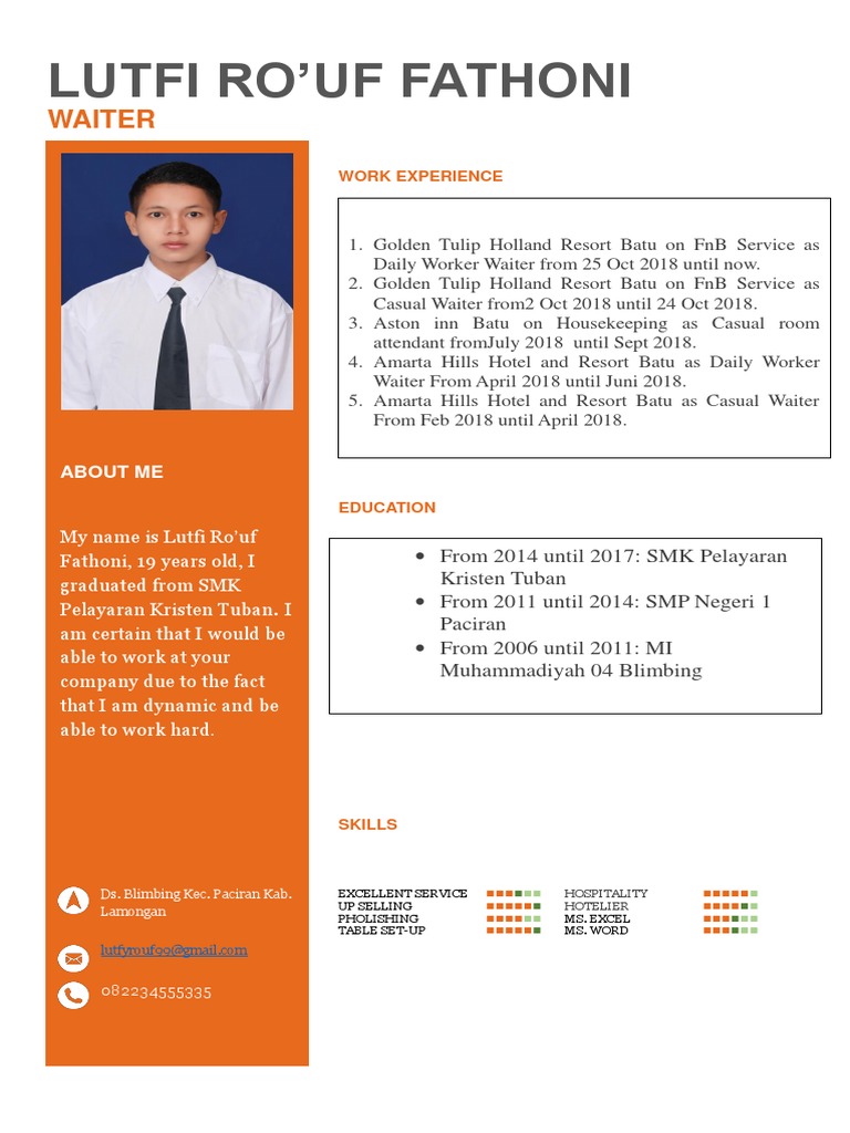 Lutfi CV | PDF