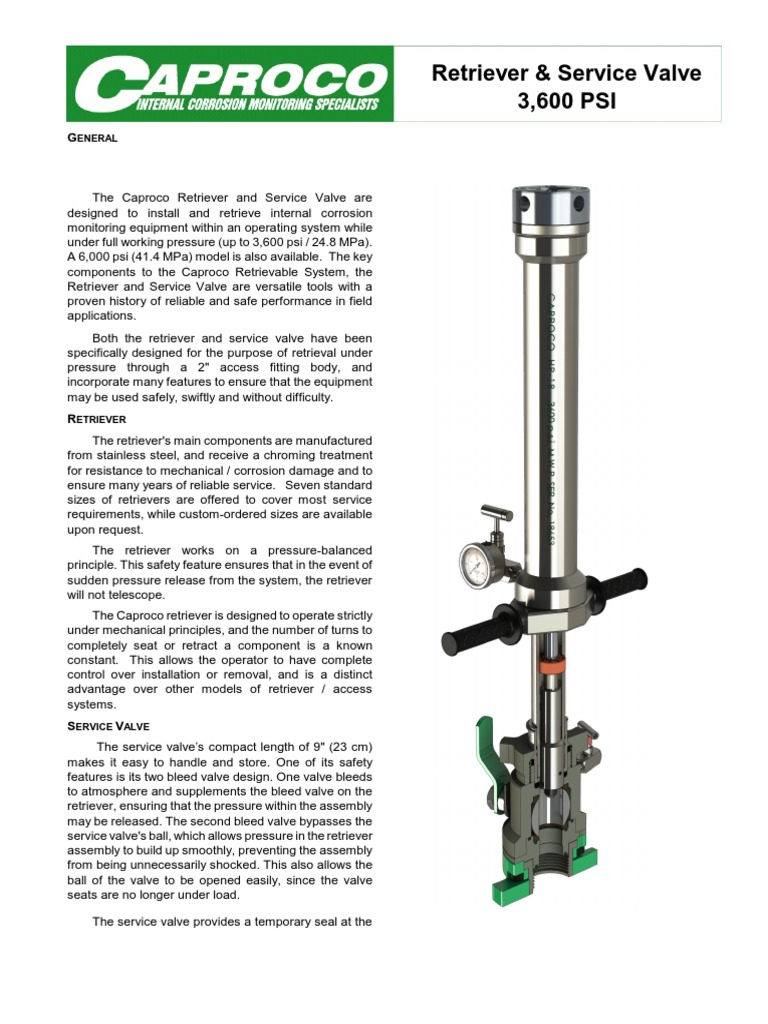 A Detailed Guide to the Caproco Retriever and Service Valve for ...