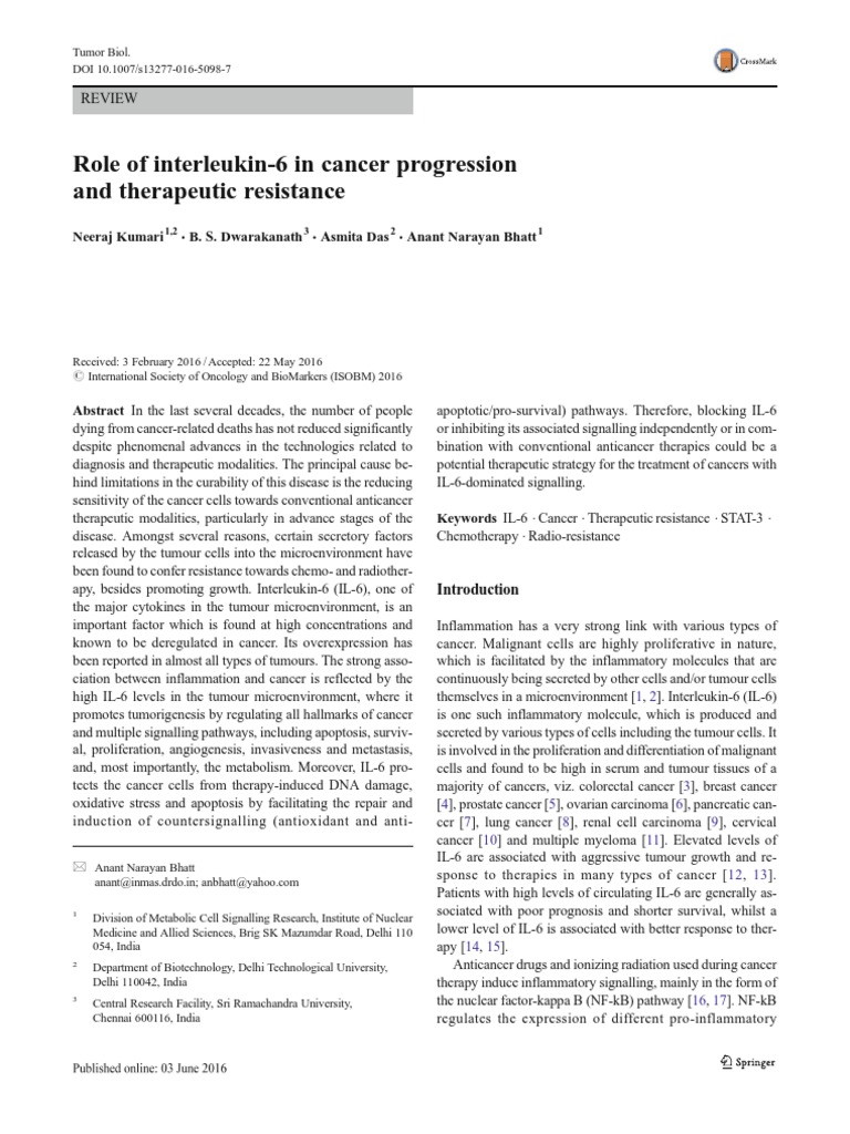 IL-6's Role in Cancer Therapy Resistance | PDF | Interleukin 6 | Inflammation