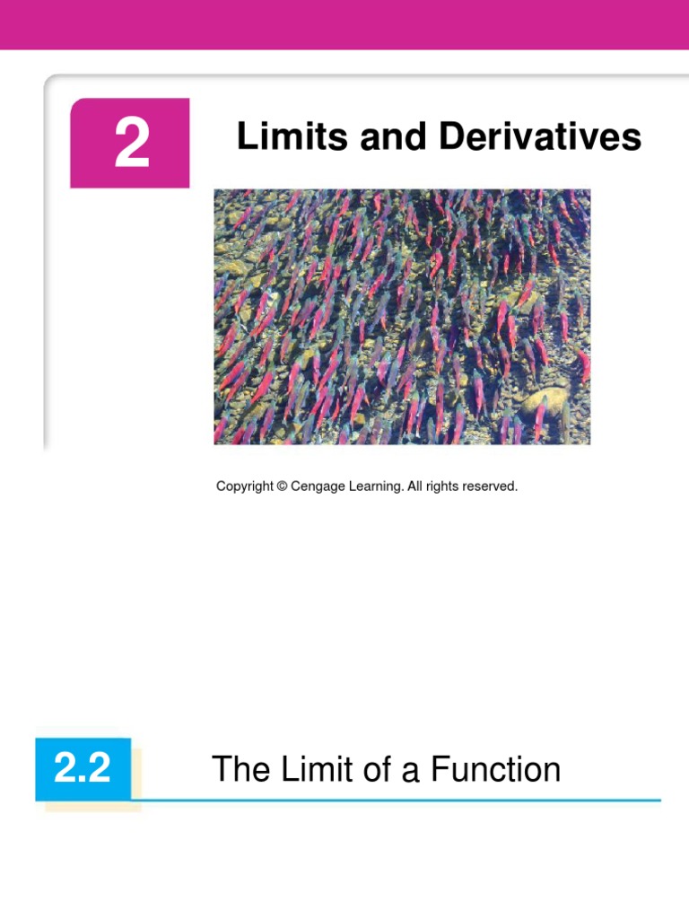 StewartCalcET7e 02 02M | PDF | Function (Mathematics) | Infinity
