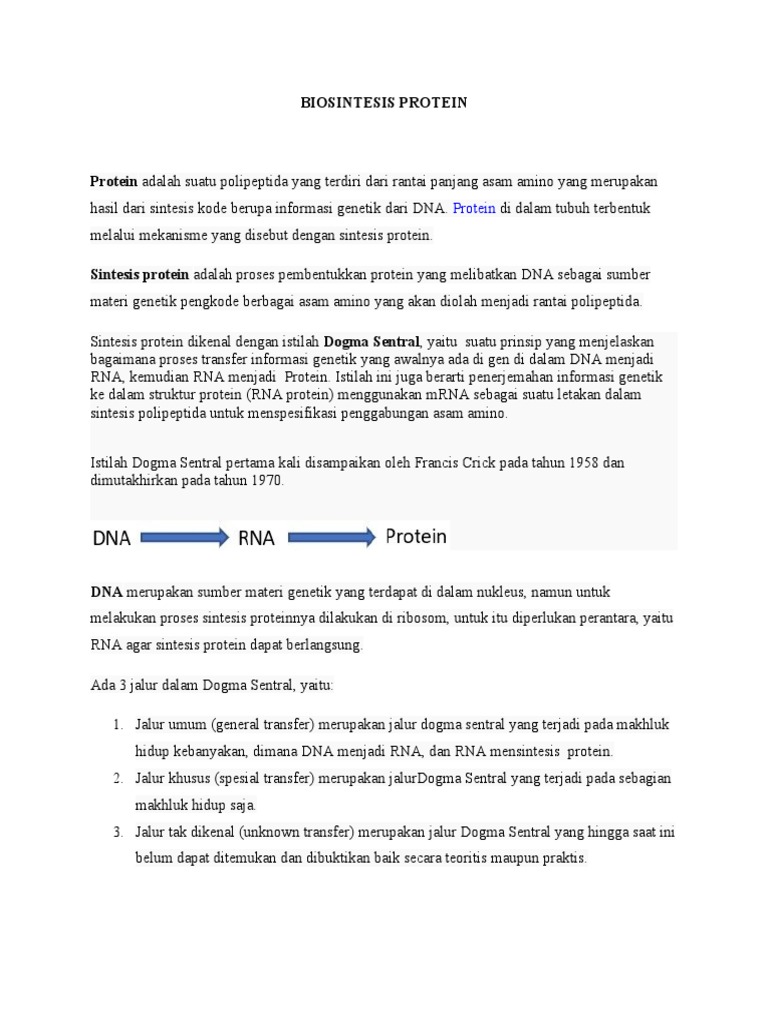 Biosintesis Protein | PDF