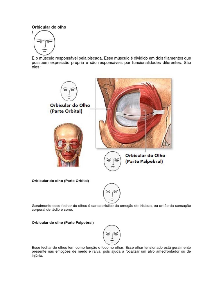 Orbicular Do Olho | PDF | Emoções | Sistema visual