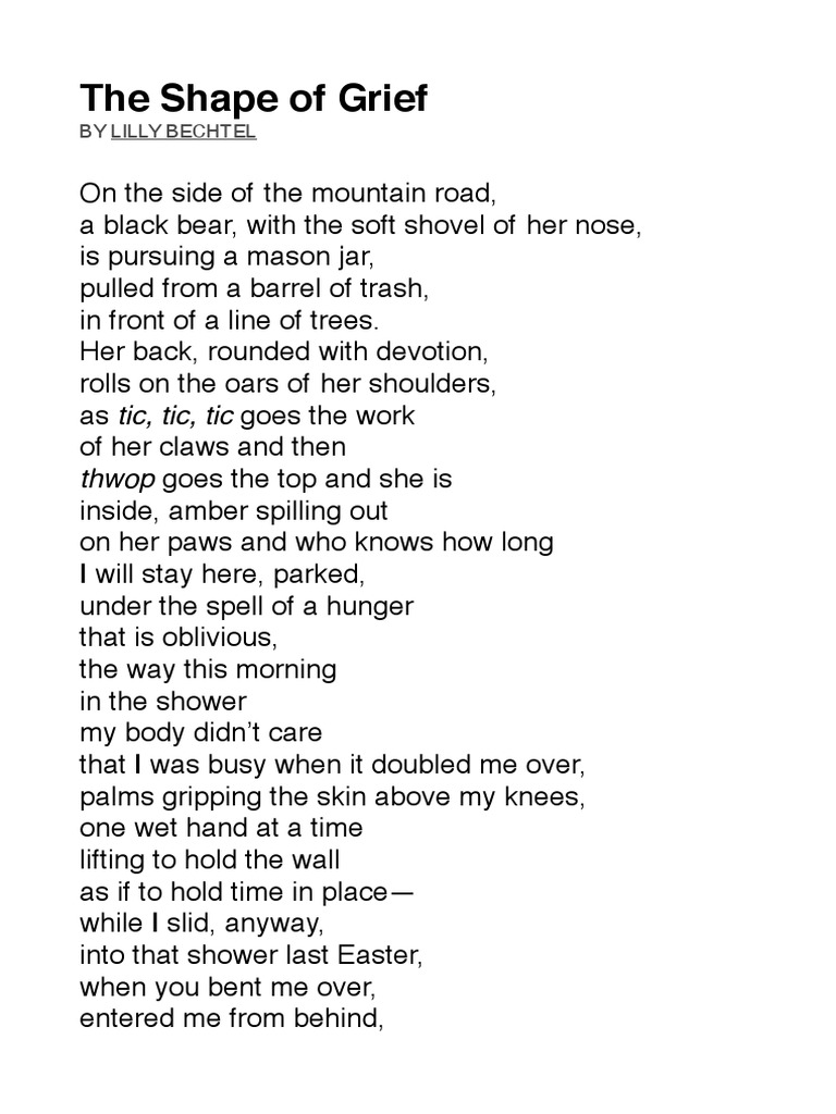 The Shape of Grief | PDF