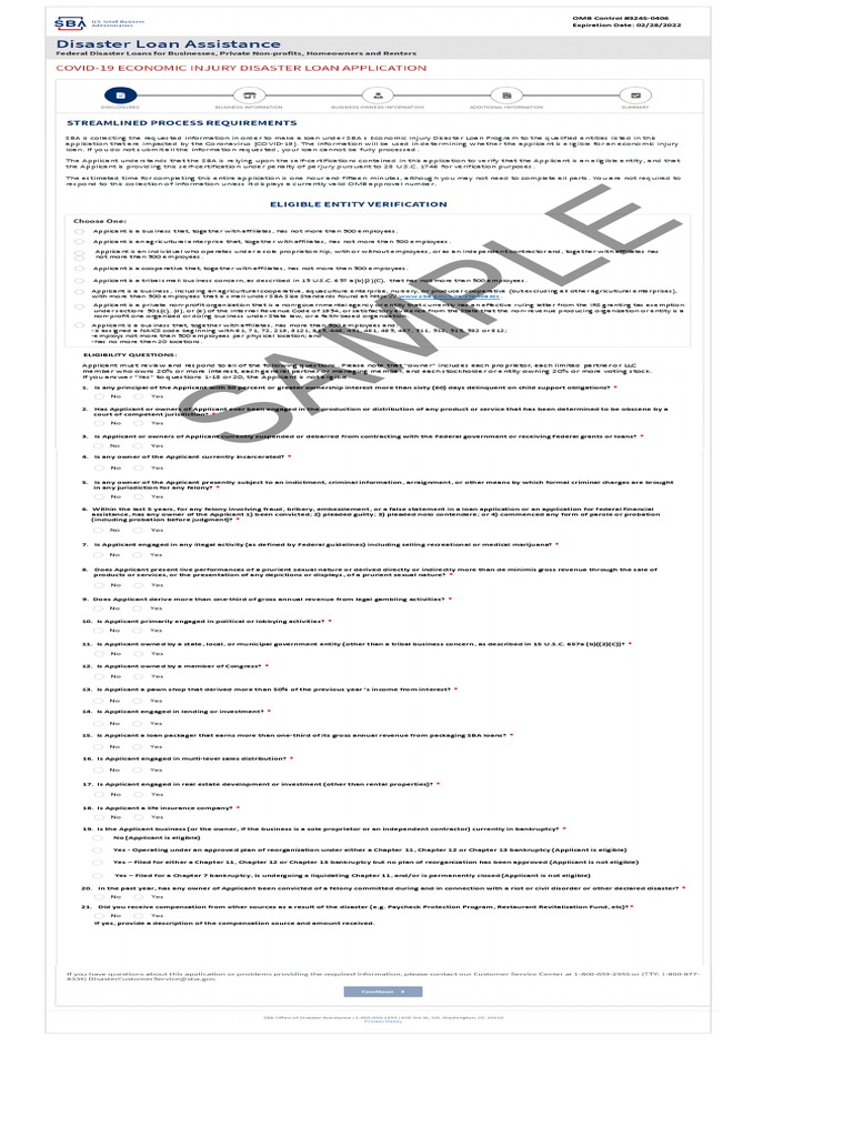 SAMPLE COVID EIDL Application (This Is A Sample Only) | PDF | Banks ...