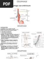 Anatomie de L'aine 2016, EPH Djilali Rahmouni (Les Orangers) | PDF ...