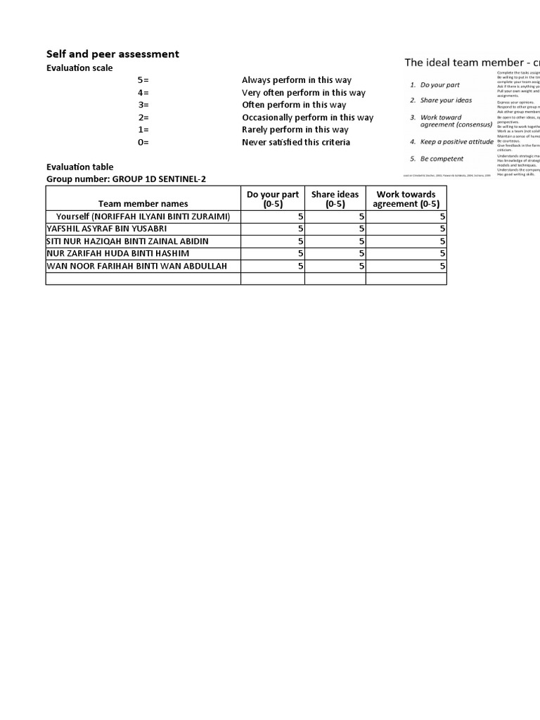 Self and Peer Assessment: Evaluation Scale | PDF