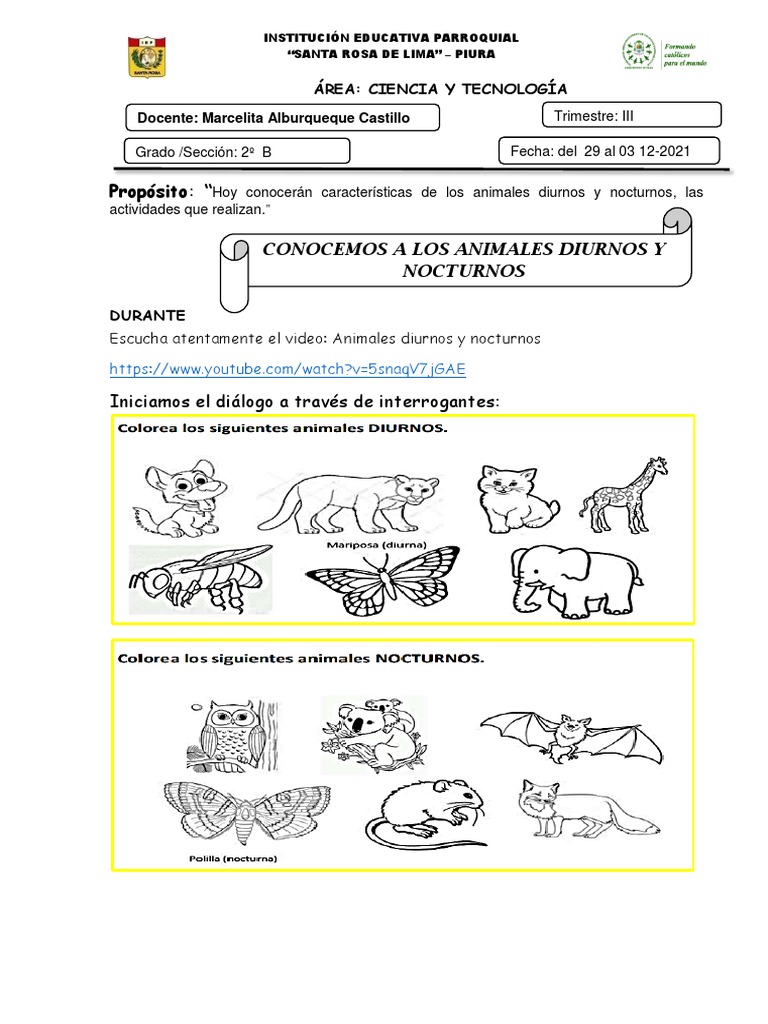 Ficha de Actividad Animales Diurnos y Nocturnos | Descargar gratis PDF ...