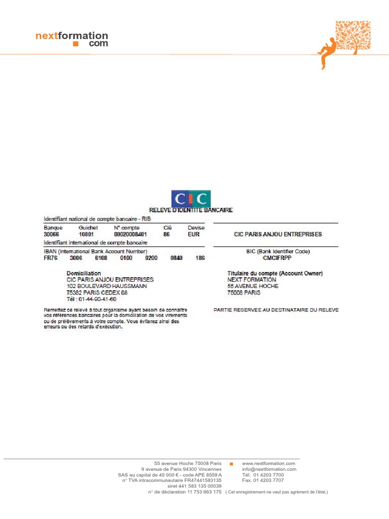 RIB CIC Next Formation | PDF