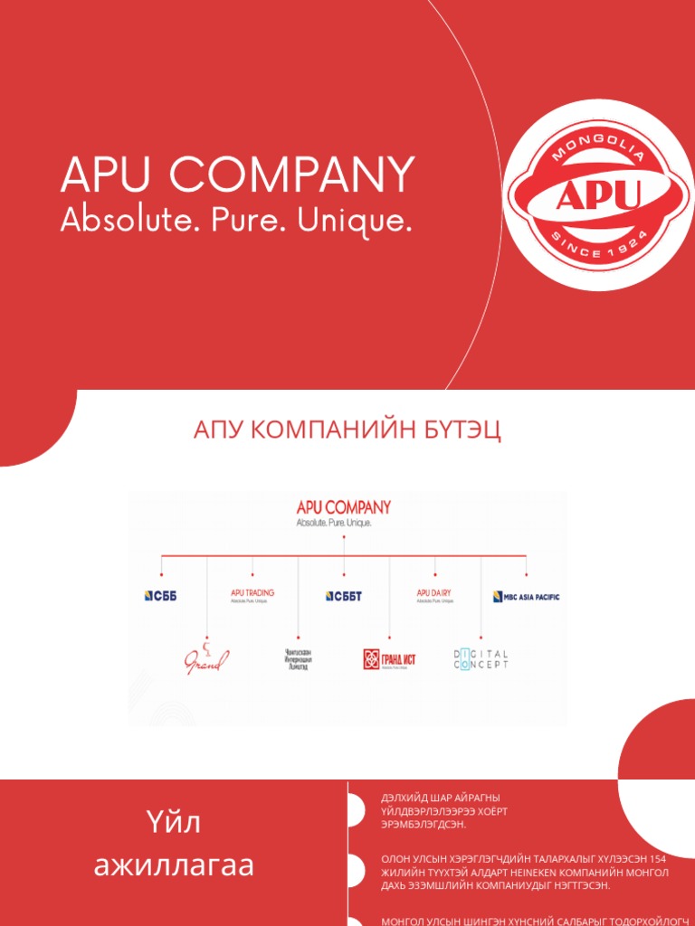 Apu Company | PDF