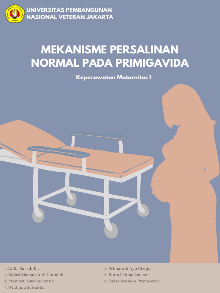 Project Maternitas | PDF