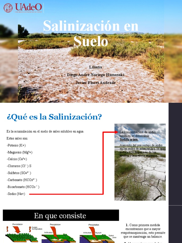 Salinizacion | PDF | Riego | Suelo