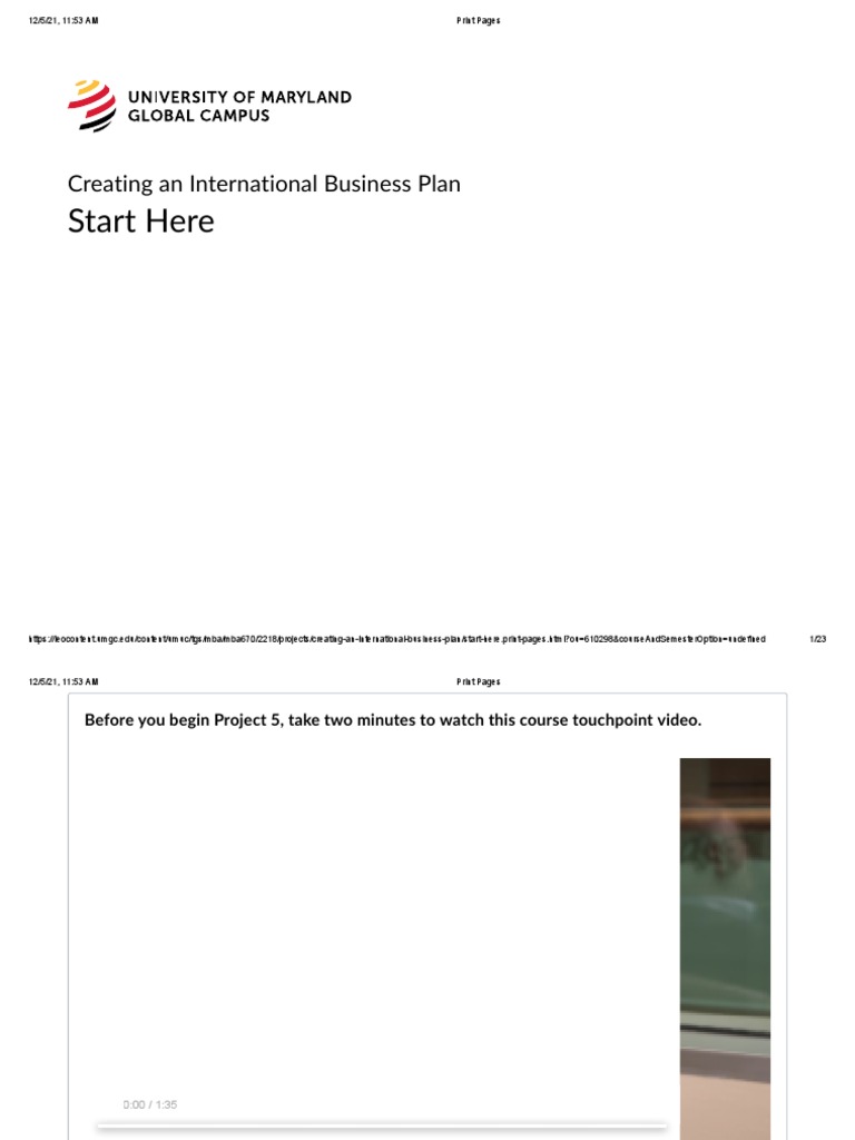 International Business Plan | PDF | Strategic Management | Marketing ...