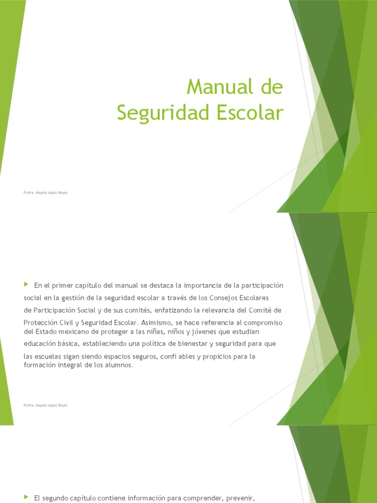 Manual De Seguridad Escolar Pdf Riesgo Defensa Civil
