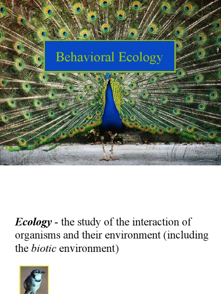 Understanding Behavioral Ecology | PDF | Social Science | Wellness