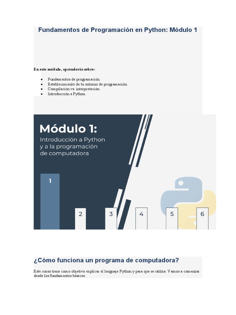 Fundamentos de Programación en Python | Descargar gratis PDF | Lenguaje de programación ...