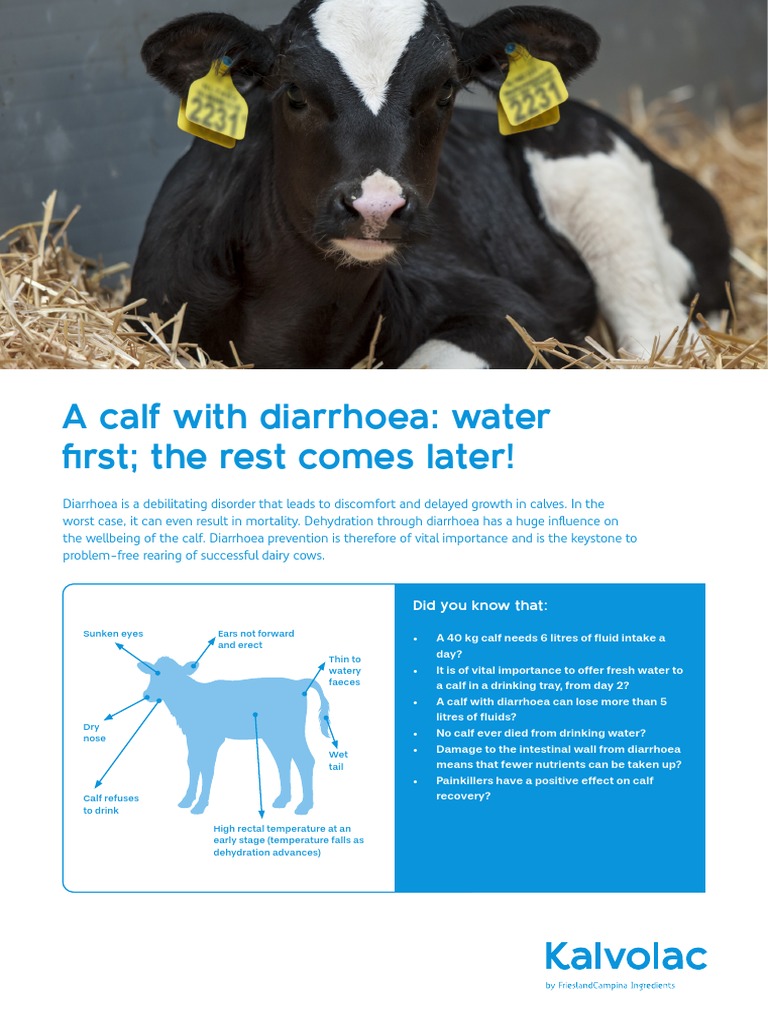 A Calf with Diarrhea: Water First, Treatment Later - An Action Plan for ...