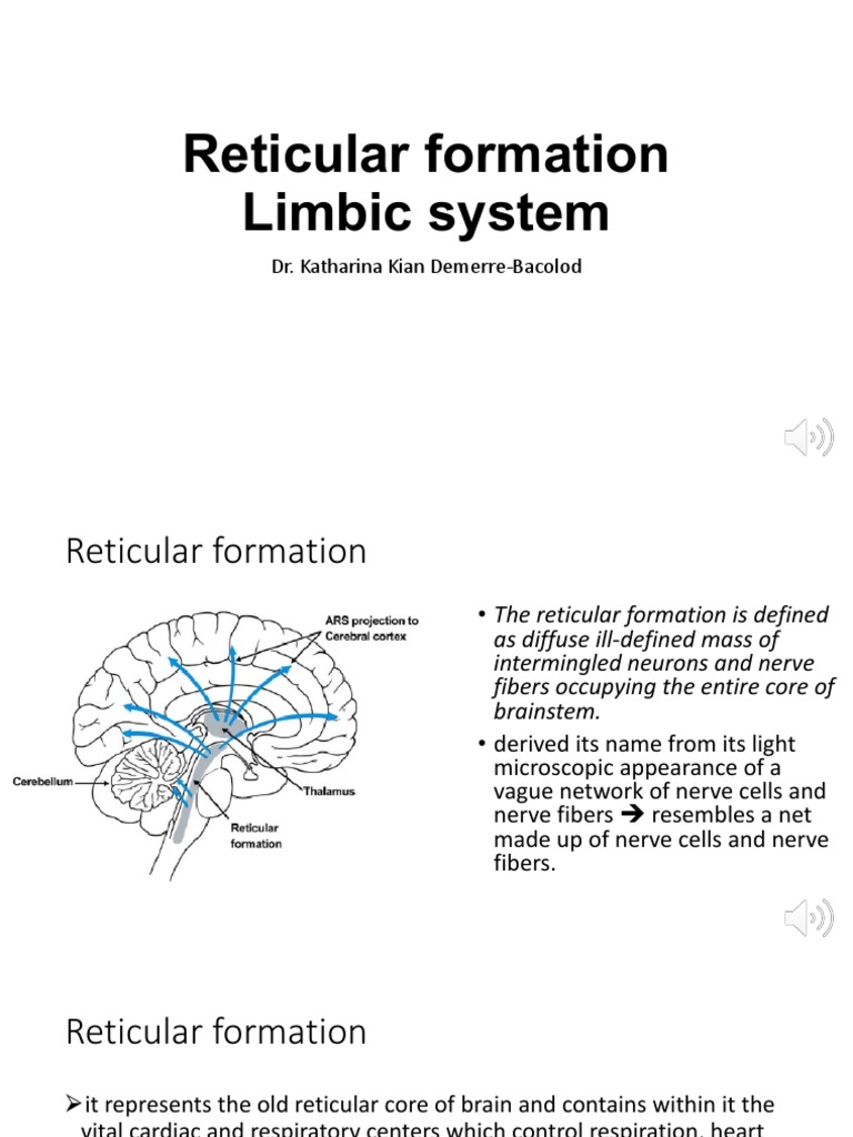The Anatomy and Connections of the Reticular Formation: A Comprehensive ...