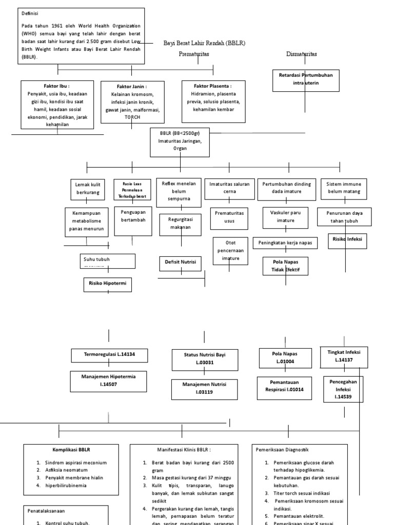 Bayi Berat Lahir Rendah Pathway | PDF