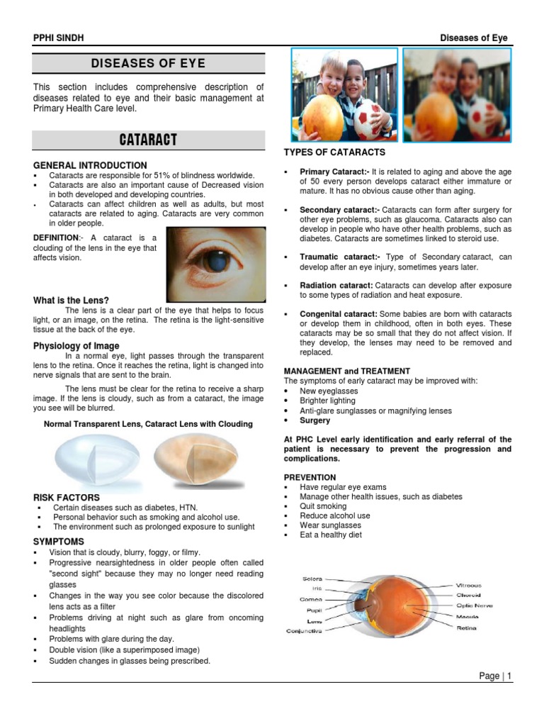 Eye Disease Guide: Cataracts, Trachoma, Glaucoma | PDF | Glaucoma ...