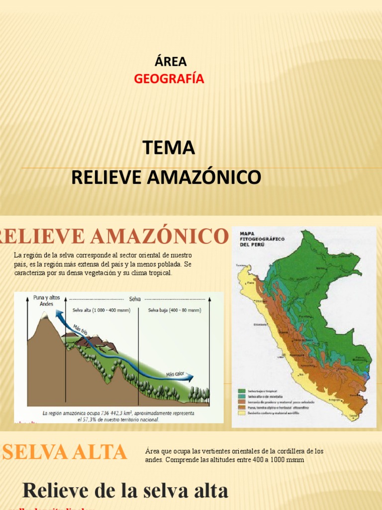 Relieve Amazonico 2020 | PDF