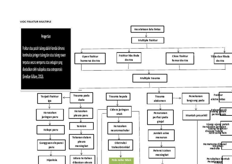 WOC Fraktur Multiple Dewii | PDF