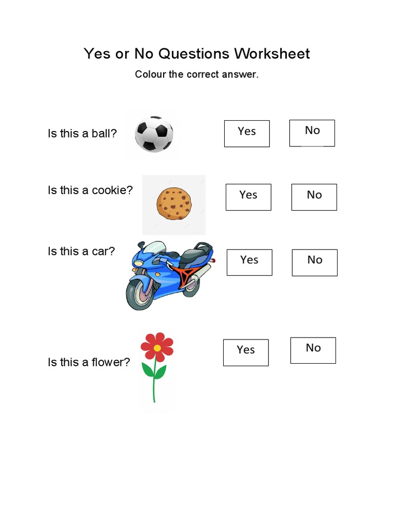 Yes or No Questions Worksheet | PDF