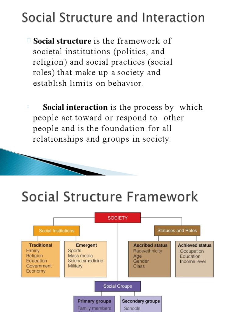 Social Structure Is The Framework of | PDF | Social Status | Institution
