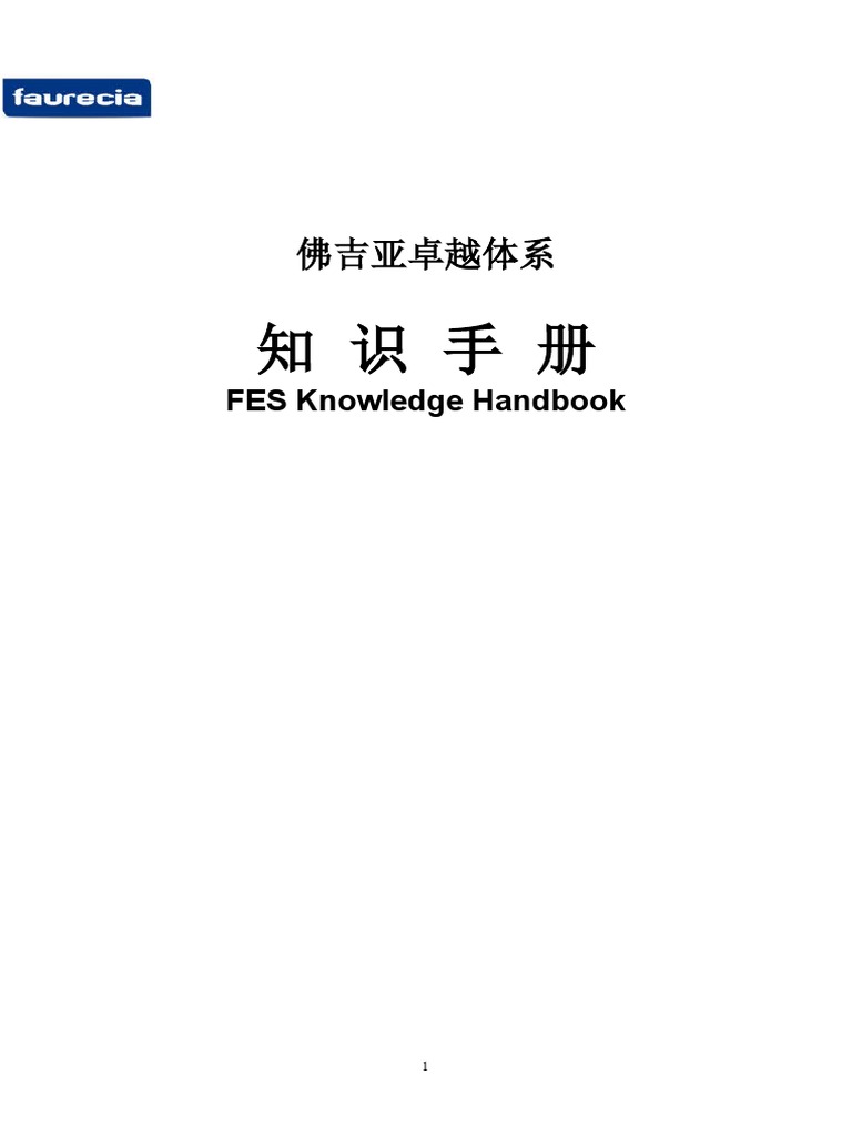 FES手册 | PDF