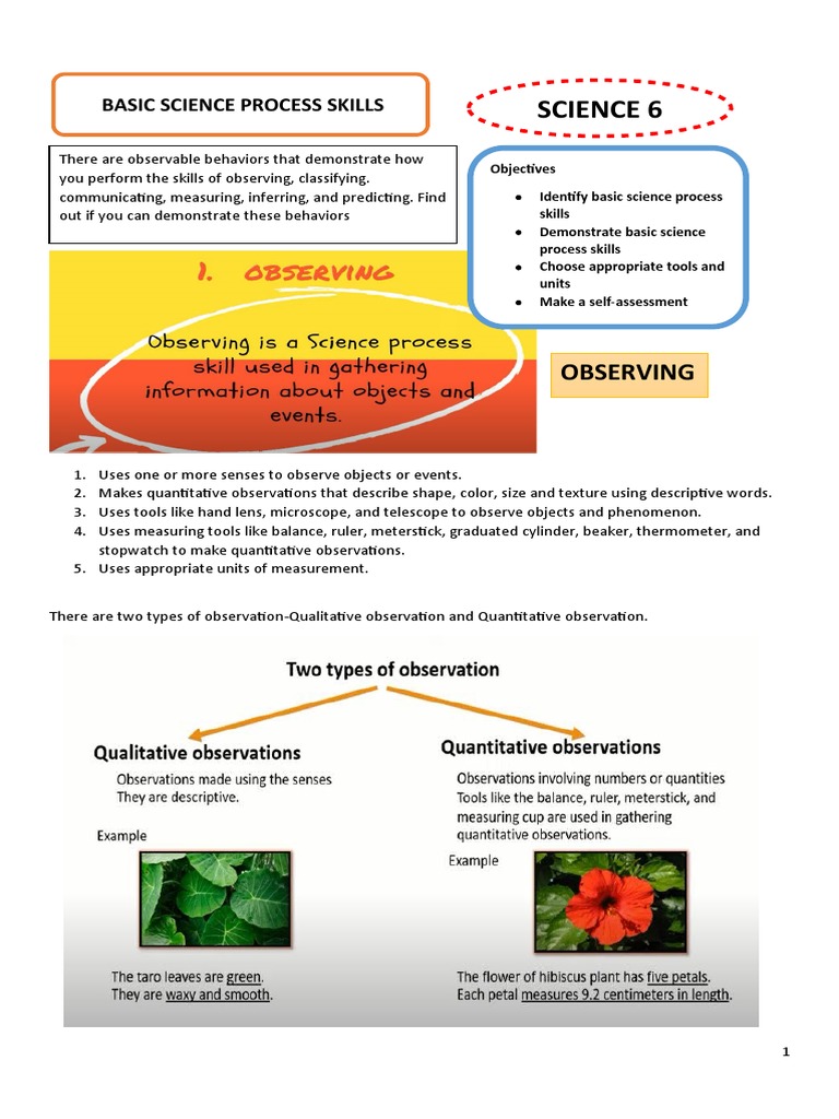 Science 6 Module | PDF | Observation | Science