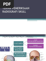 Thorax PA, AP Dan Lateral, RLD Dan LLD | PDF