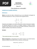 Matriz Pseudoinversa Por Izquierda y Derecha | PDF